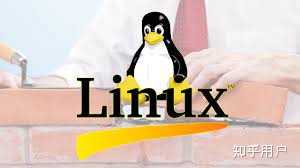 Linux 开发中常用的编程语言有哪些？ - 知乎