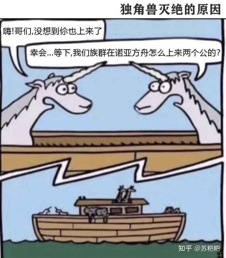 有哪些让人笑得停不下来的冷笑话？ - 知乎