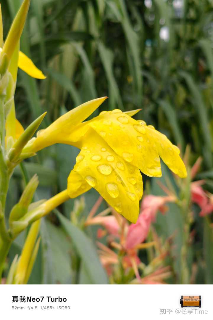 如何看待5月29日发布的真我Neo7 Turbo？都有哪些亮点或不足？ - 知乎