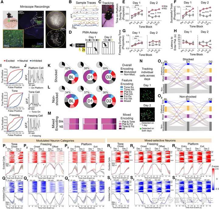 怎样使用MATLAB分析双光子钙成像suite2p的结果 ？ - 知乎