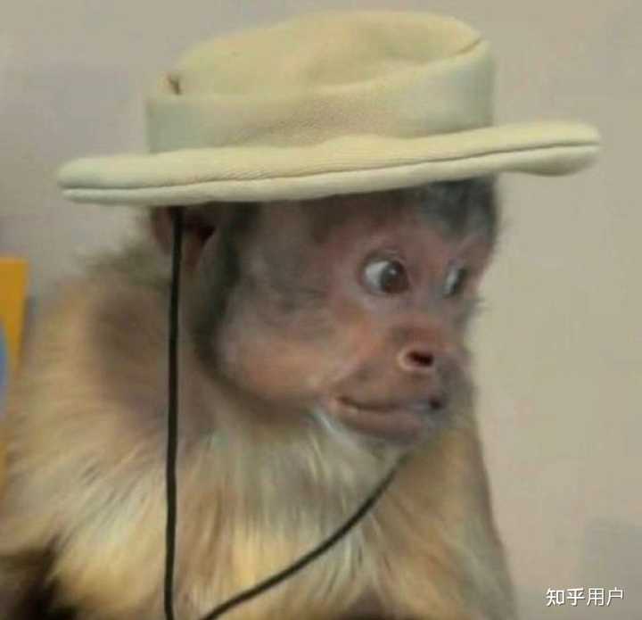 请问大家有没有猴子的表情包？ - 知乎