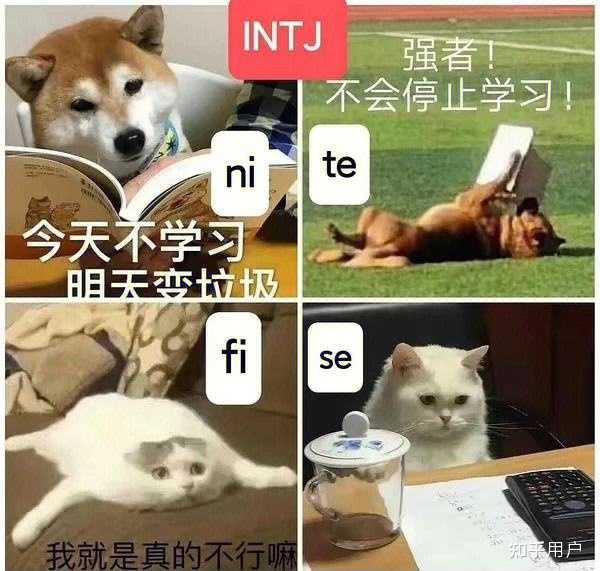 真正的INTJ女是什么样子的？ - 知乎