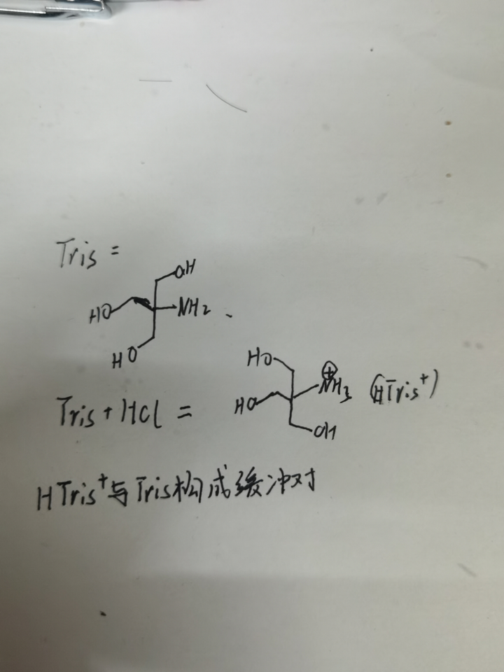 Tris-HCl的作用原理？ - 知乎
