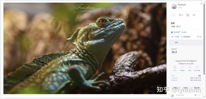 佳能1DX3跟5D4有什么区别？ - 知乎