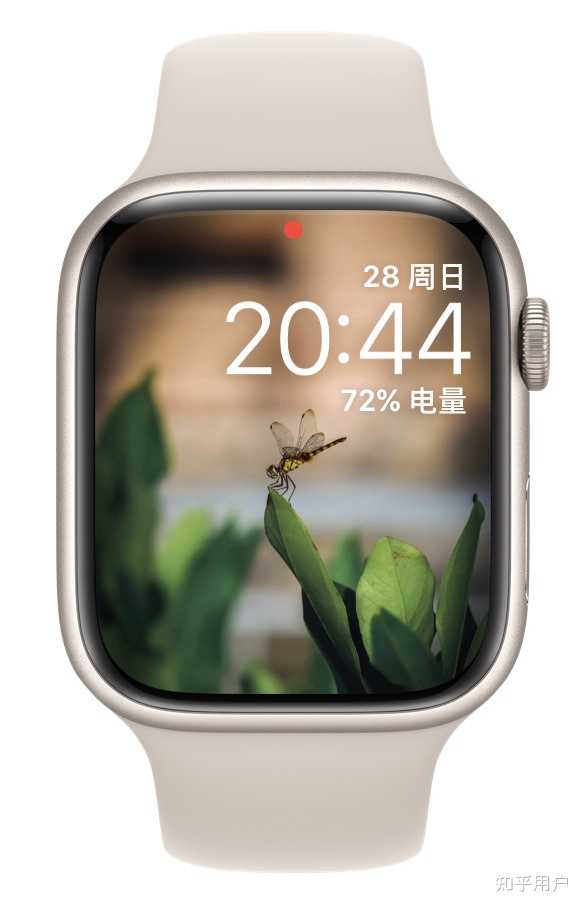 有哪些好看的apple watch壁纸？ - 知乎