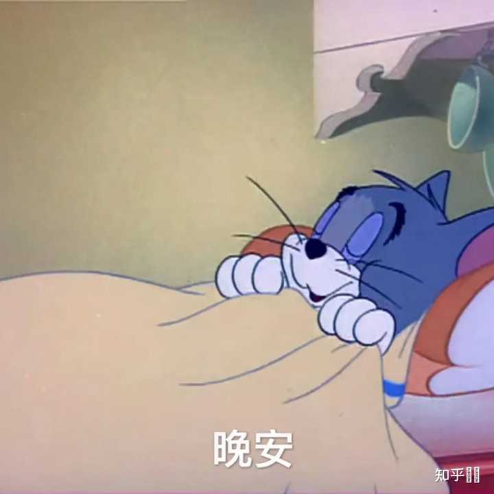 有哪些特别可爱的晚安表情包？ - 知乎