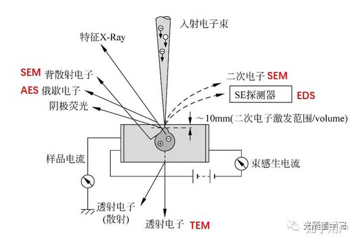 SPM / SEM / TEM / FIB这四种显微镜的区别是什么？ - 知乎