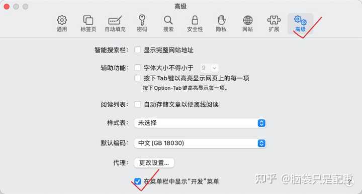 请问一下，如何使ndm获得Safari支持？ - 知乎