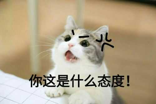 有哪些可爱的猫猫表情包？ - 知乎