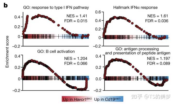 如何解读 gsea 分析结果？ - 知乎