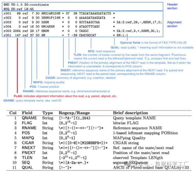 基因组测序获得了HiFi、Hi-C和DNB数据，后续应该如何分析？ - 知乎