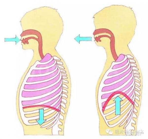 请问大家：你认为口呼吸会给健康带来危害吗？ - 知乎