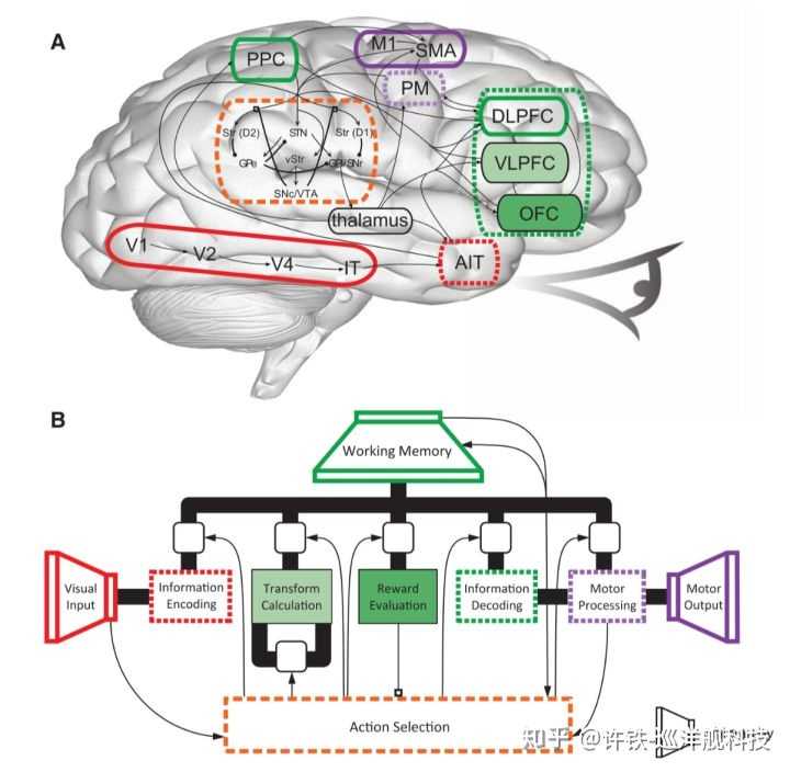 SNN ANN 多模态融合 神经网络发展过程的两个分支-CSDN博客