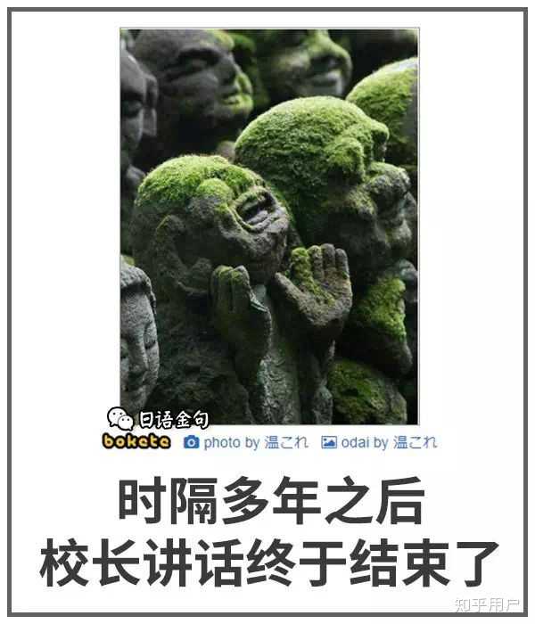有哪些沙雕文字表情包？ 知乎