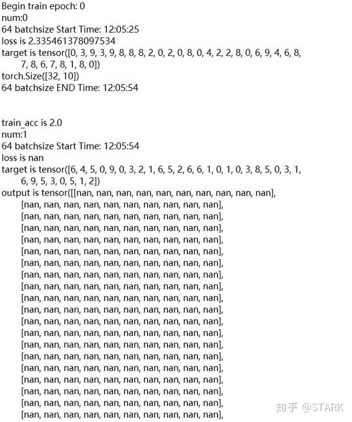 pytorch中第一轮训练loss就是nan是为什么啊？ - 知乎