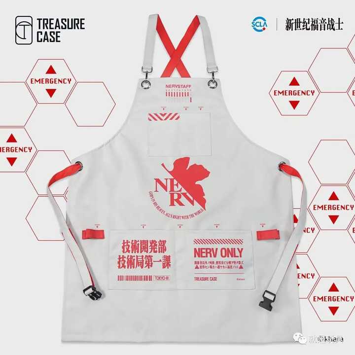 有哪些值得购买的EVA周边和服装以及店铺？ - 知乎