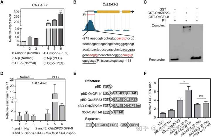 有哪些思路不错的高分转录组文章？ - 知乎