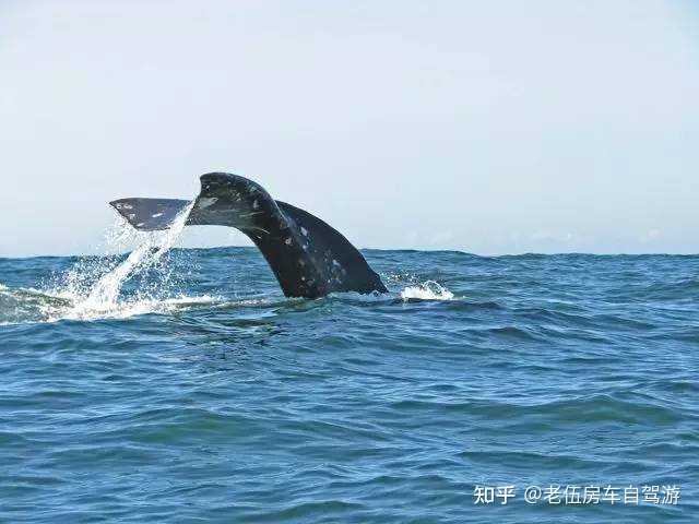 想去俄勒冈州度假半个月，有哪些景点值得推荐？ - 知乎