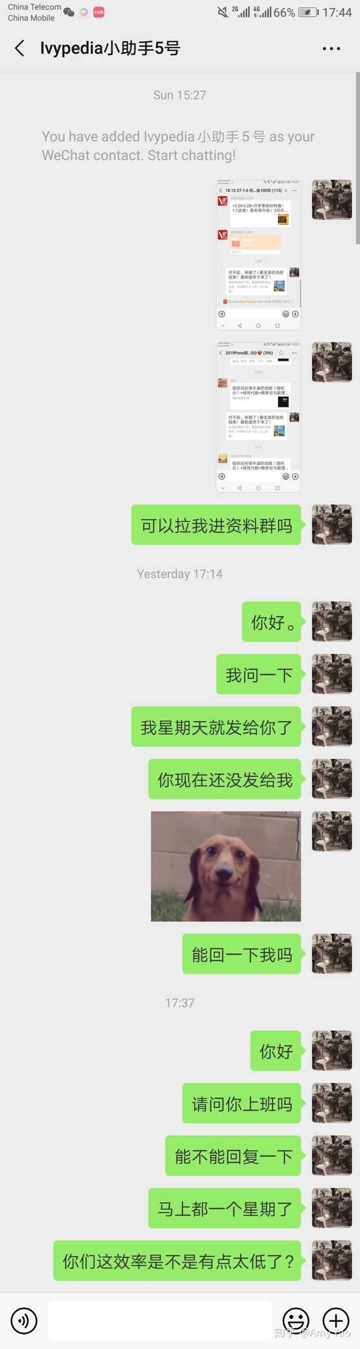 ivypedia怎么样？ - 知乎