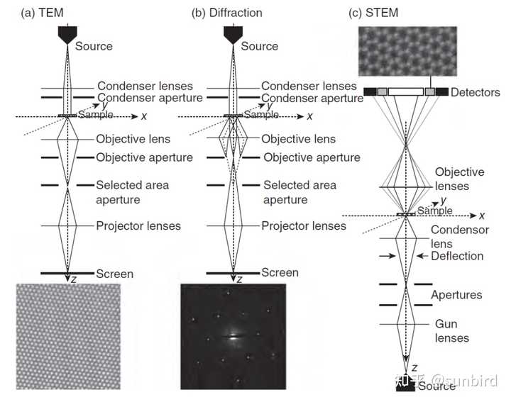 SEM、TEM、AFM、STM、STEM这五类显微镜有哪些区别，各自有什么特点？ - 知乎