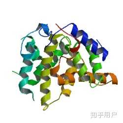 基因ARHGAP11B的具体序列怎么写？ - 知乎