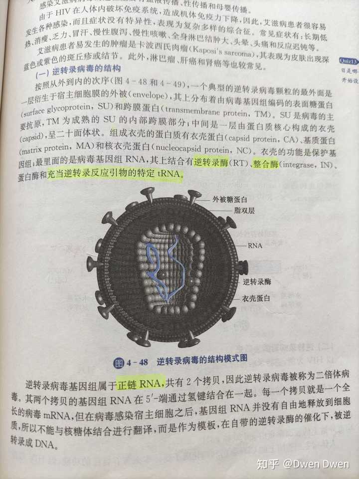 为什么病毒dna可以直接利用宿主细胞的dna聚合酶，而病毒rna在细胞内还要合成rna聚合酶？ - 知乎