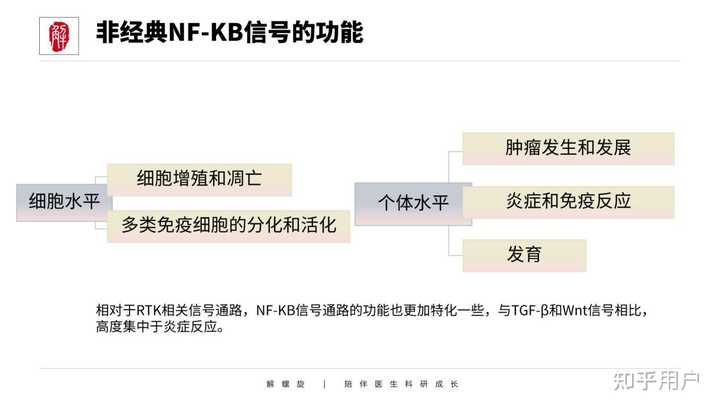 有大神了解NFkB这个信号通路吗？ - 知乎