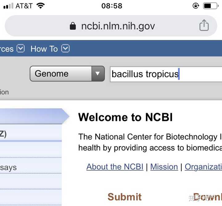 怎样在NCBI上快速搜索某一株菌的序列？ - 知乎