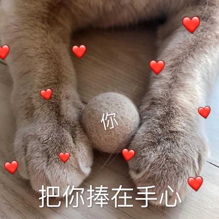 女生的哪些举动是在暗示要你追她？ 知乎