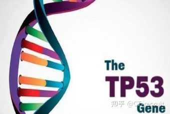 TP53真的会导致靶向药的耐药吗？ - 知乎