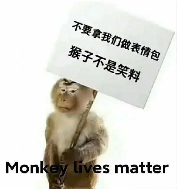 请问大家有没有猴子的表情包？ - 知乎