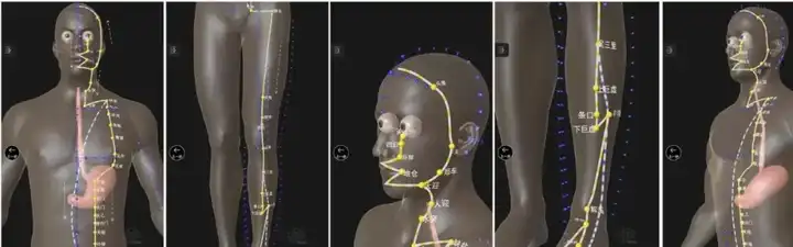 古人是怎么知道中医经络走向的？ - 知乎