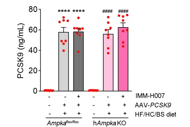 AAV PCSK9用于动脉粥样硬化疾病造模效果如何？ - 知乎