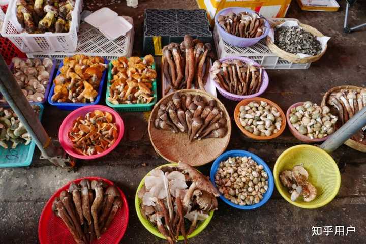 想去云南吃菌子，去哪个城市？ - 知乎