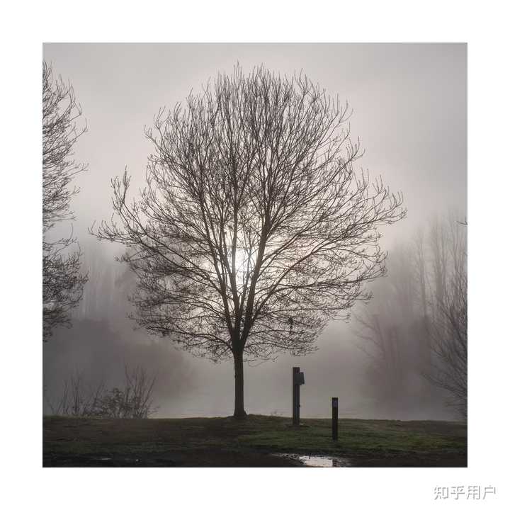 1 万左右买富士 XS20 划算吗？ - 知乎