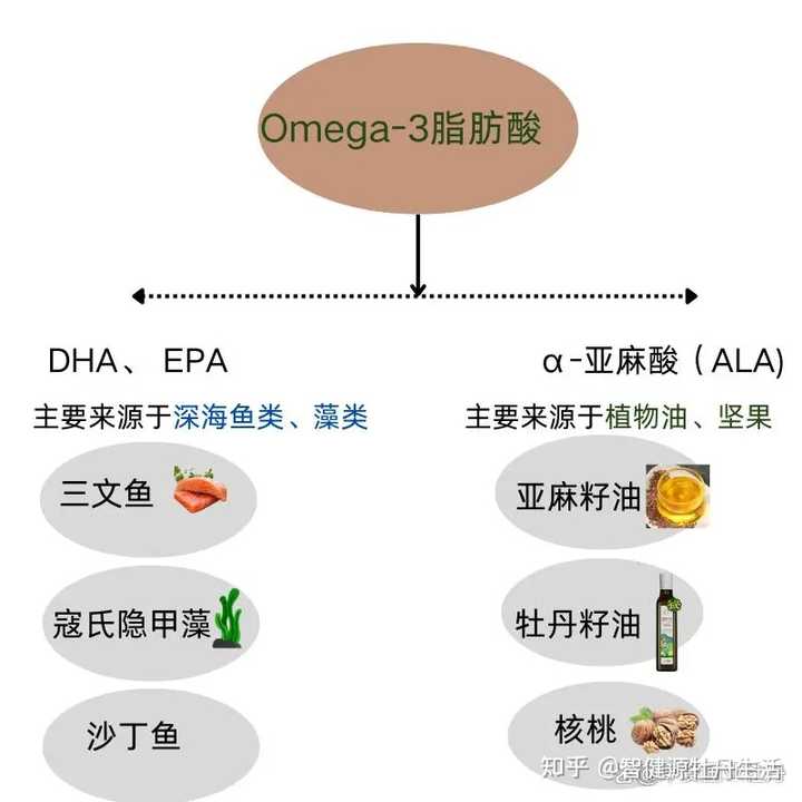 如果不吃鱼油，怎么补充omega-3呢？ - 知乎