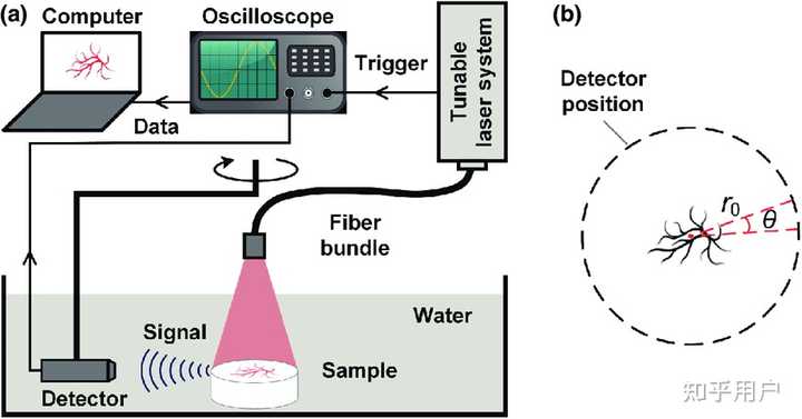 目前临床阶段都有哪些神经成像技术？ - 知乎