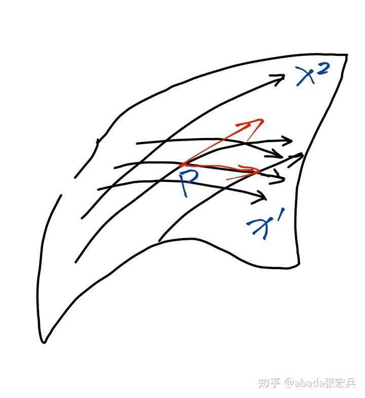 怎么形象地理解对偶空间（Dual Vector Space）？ - 知乎