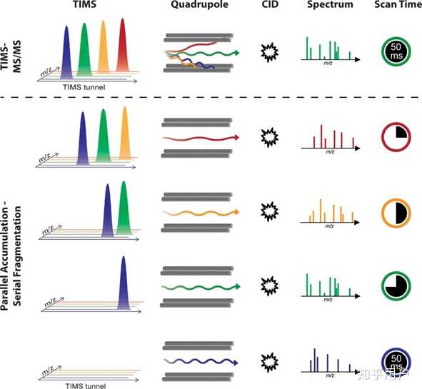 离子淌度与质谱——PASEF技术是什么？ - 知乎