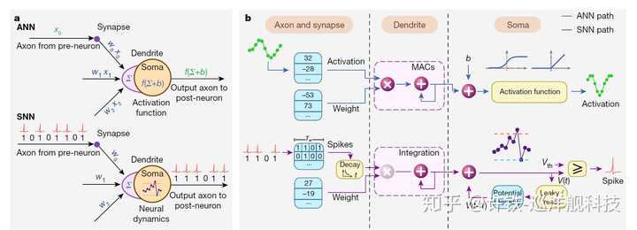 SNN ANN 多模态融合 神经网络发展过程的两个分支-CSDN博客