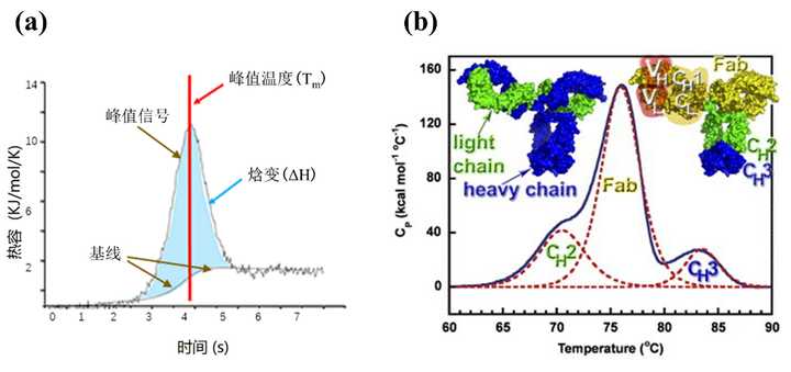 DSC曲线分析？ - 知乎