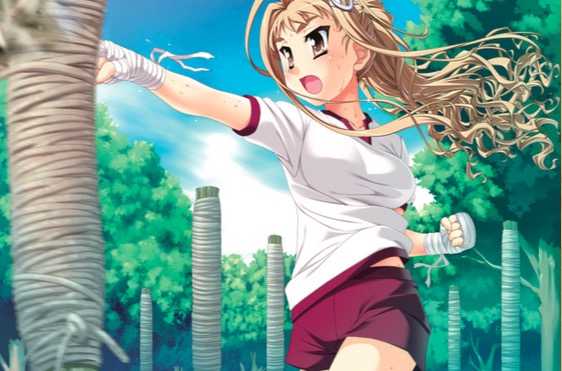 如何评价galgame会社软屋softhousechara？ - 知乎