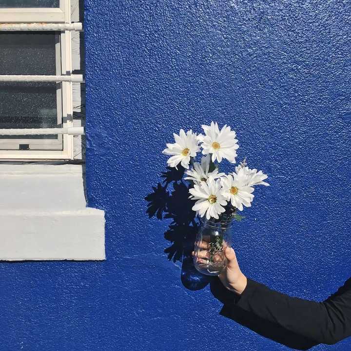 有哪些好看到爆的蓝色系头像？ - 知乎