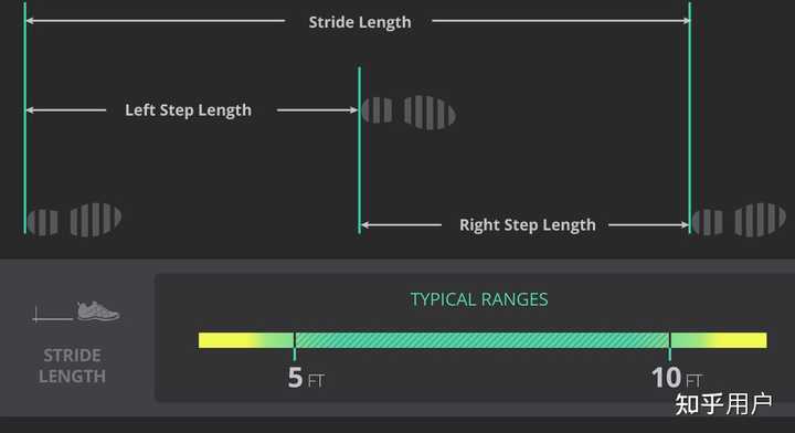 请大神指点我跑步的步幅和步频？ - 知乎