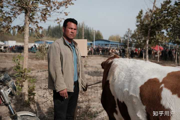 松下s5m2 ，富士xt5，主要直出使用，拍照视频73。选哪个实用一点？ - 知乎