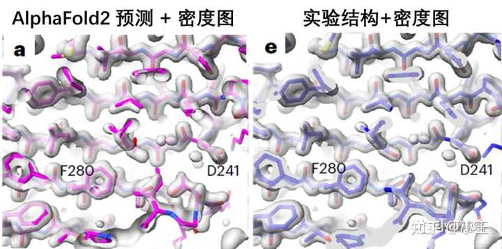 AlphaFold的出现，对颜宁的研究究竟有多少替代作用？ - 知乎