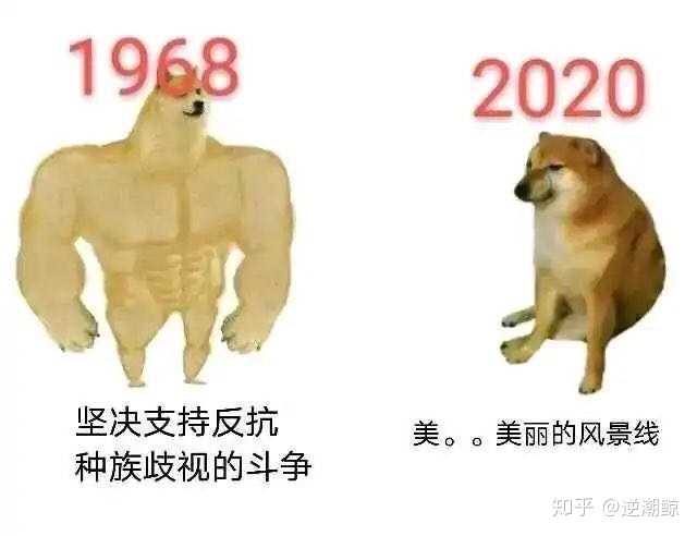 有没有人推荐一下最近很火的两只狗狗的表情包？（如下图）? - 知乎