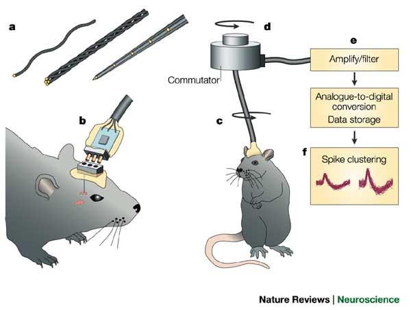 关于天才 - 知乎