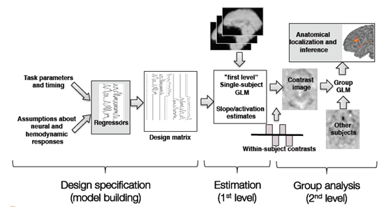 Module 15 General Linear Model - 知乎