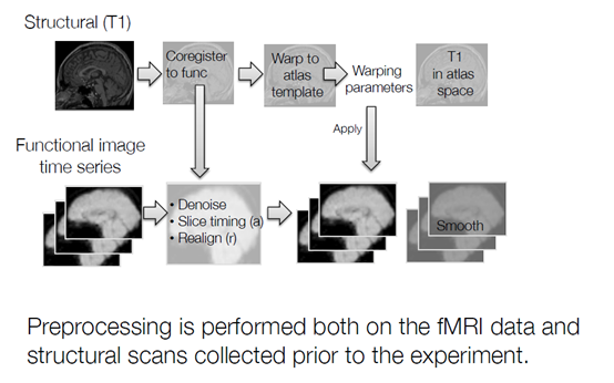 Module 13 Pre-Processing of fMRI Data - 知乎